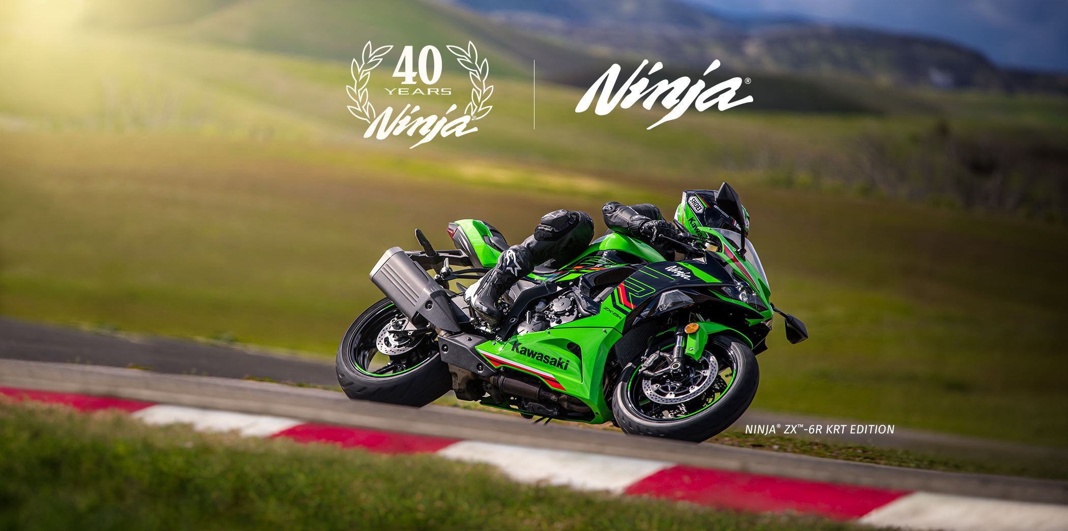 Kawasaki Ninja® | Kawasaki Powersports | Distribuidores oficiales de ...